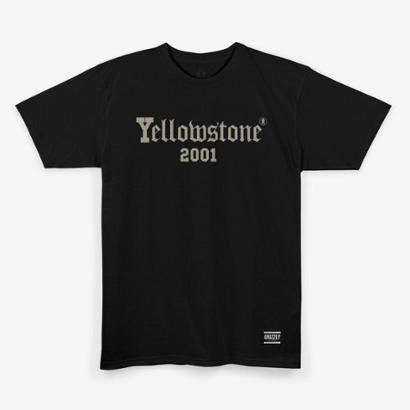 Camiseta Grizzly Yellowstone Ss Tee Masculino - Preto | Netshoes