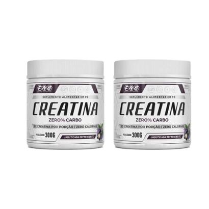 Kit 2 Creatina em Pó Zero Carbo 2x300g Sabor Jabuticaba FNB Sports ...