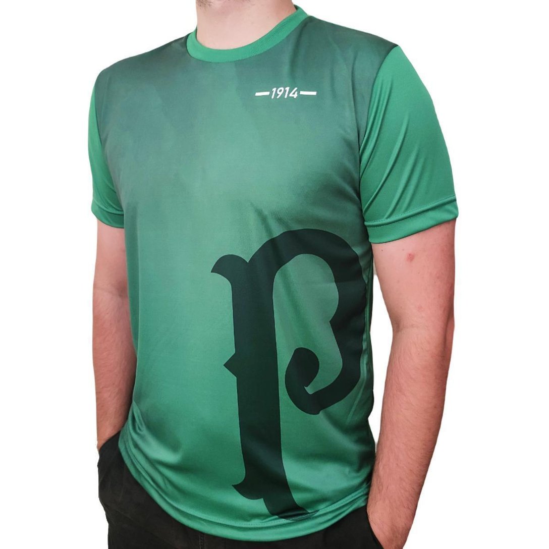 Kit Presente Palmeiras - Camisa / Caneca / Chaveiro Oficial - Verde ...