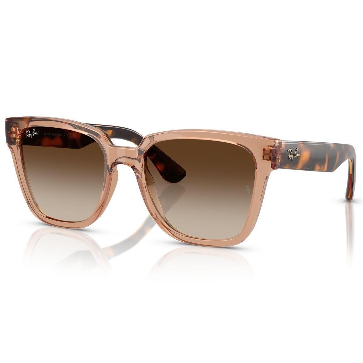 Oculos Ray Ban Feminino Netshoes