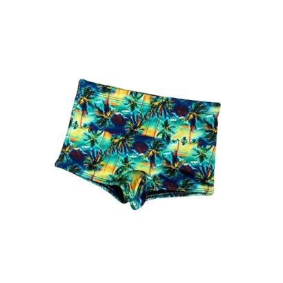 Sunga Boxer Bebê Infantil Juvenil Moda Praia Várias Estampas - Verde ...