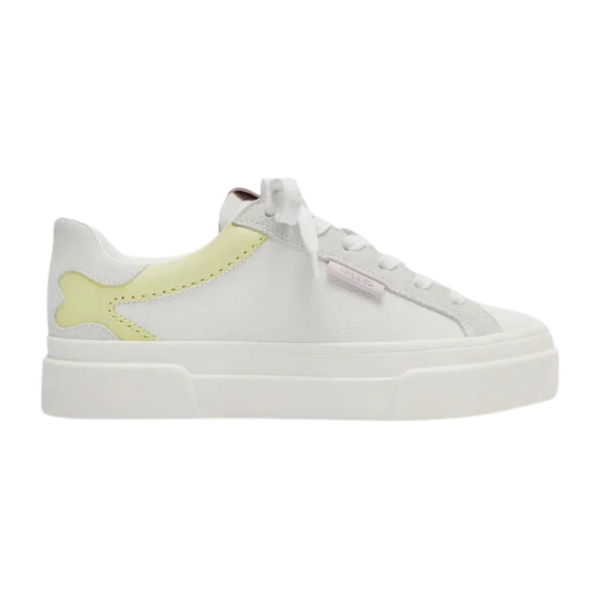 Tenis Arezzo | Netshoes